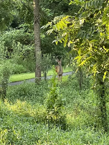 Best Hikes and Trails in Fox Valley Park | AllTrails