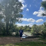Fen Drayton Lakes Nature Reserve and Mare Fen, Cambridgeshire, England ...
