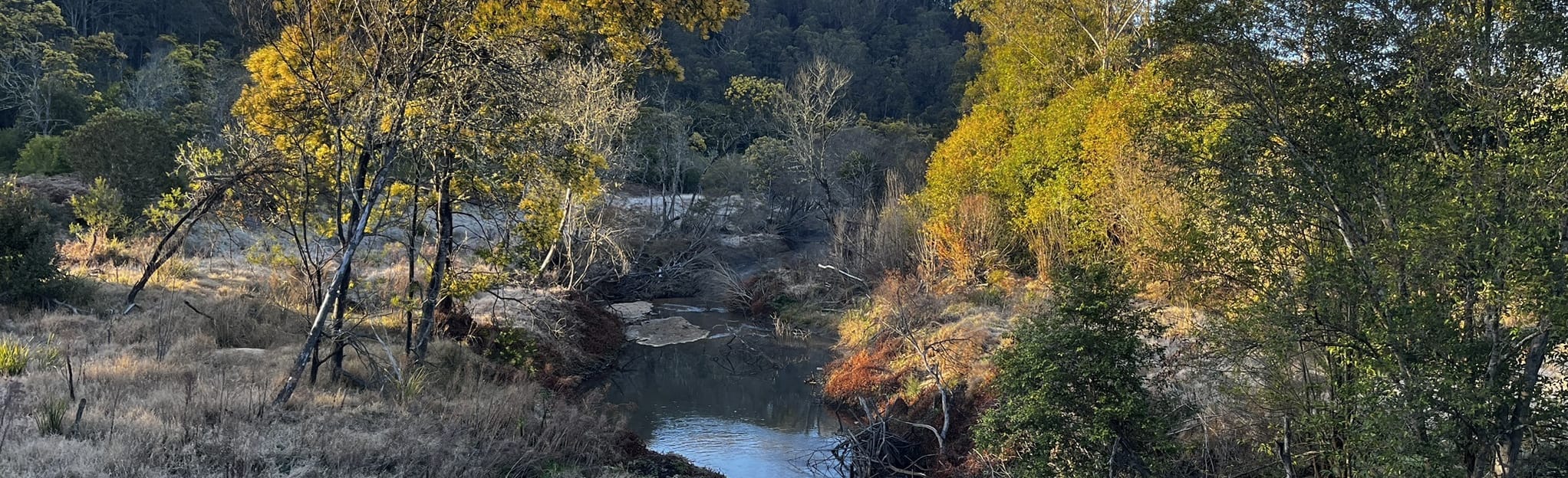 Dubbo Gully Circuit: 113 fotos - Nueva Gales del Sur, Australia | AllTrails