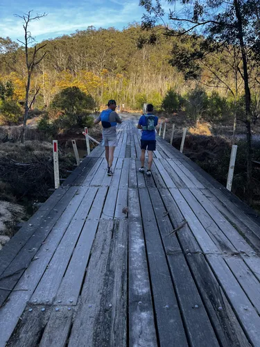 Best Hikes and Trails in McPherson State Forest | AllTrails