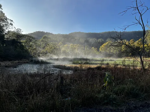 Best Hikes and Trails in McPherson State Forest | AllTrails