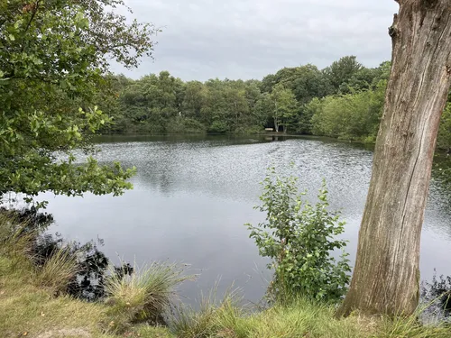 De 10 beste wandelroutes om te wandelen in Norg | AllTrails