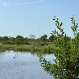 Bio Lab Road, Florida - 52 Reviews, Map | AllTrails