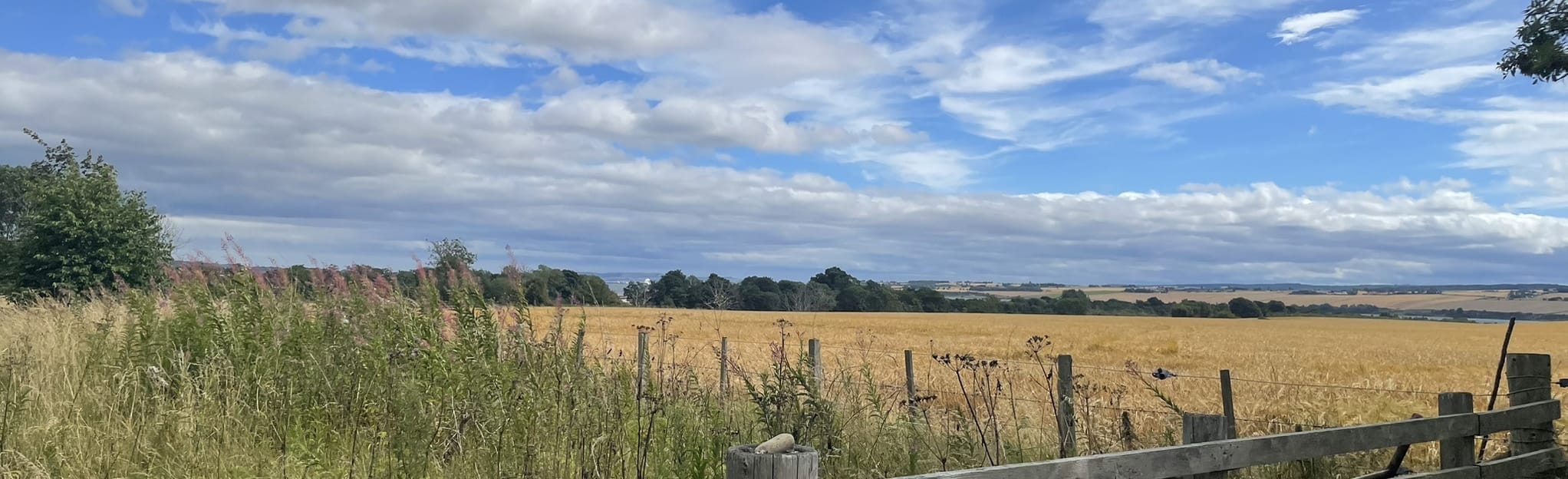 East Evanton Loop, Highlands, Scotland - 17 Reviews, Map | AllTrails