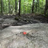 Brook Trail, New Hampshire - 1,167 Reviews, Map | AllTrails