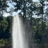 Fleming Loop Recreational Park, North Carolina - 95 Reviews, Map ...