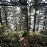 Natural Bridges Viewpoint Trail, Oregon - 551 Reviews, Map | AllTrails