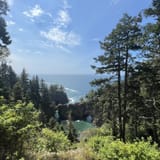 Natural Bridges Viewpoint Trail, Oregon - 551 Reviews, Map | AllTrails