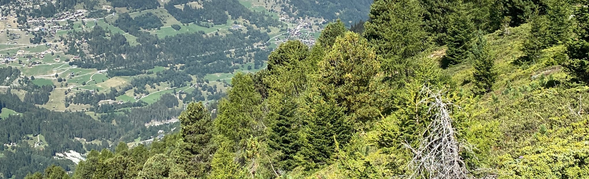 Gruben - Meidpass - Zinal, Valais, Switzerland - Map, Guide | AllTrails