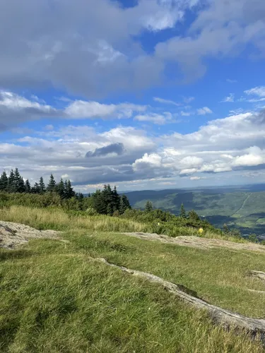 10 Best Hikes and Trails in Mount Greylock State Reservation | AllTrails