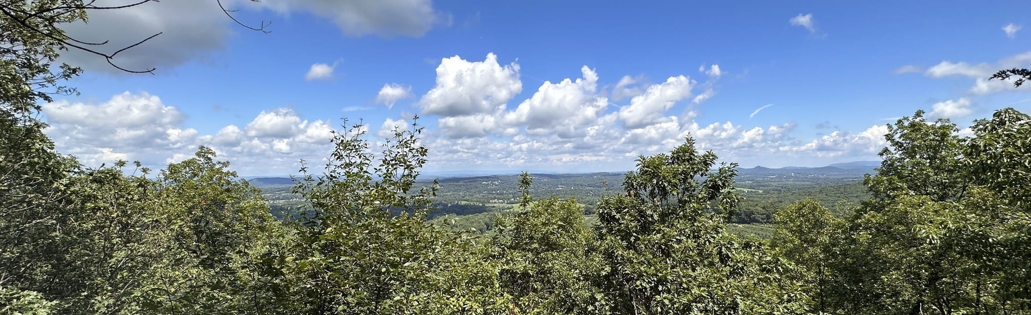 Fuller Mountain Trail, New York - 108 Reviews, Map | AllTrails