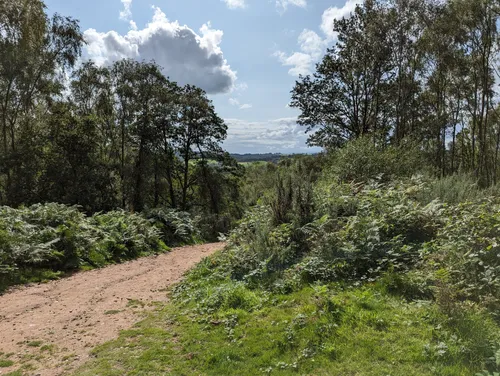 Best Hikes and Trails in Kingsford Forest Park | AllTrails