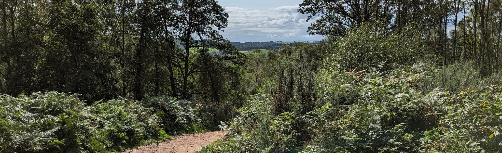 Kinver Edge Circular, West Midlands, England - 328 Reviews, Map | AllTrails
