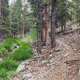 Baker Lake-Johnson Lake Loop, Nevada - 105 Reviews, Map | AllTrails