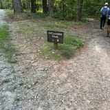 Sycamore Trail Loop, North Carolina - 1,415 Reviews, Map | AllTrails