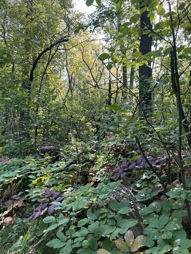 Best Hikes and Trails in of Norfolk Treherne | AllTrails