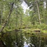 Catamount Hill Trail and One Mile Trail Loop, New Hampshire - 613 ...