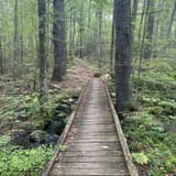Catamount Hill Trail and One Mile Trail Loop, New Hampshire - 613 ...