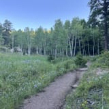 Mount Herman Trail, Colorado - 1,647 Reviews, Map | AllTrails