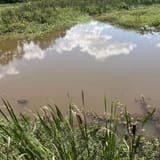 Lake Conestee Nature Park Loop, South Carolina - 1,224 Reviews, Map ...