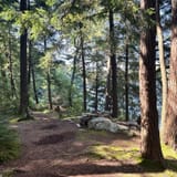 Solitaire Lake Loop, Ontario, Canada - 774 Reviews, Map | AllTrails