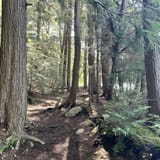Solitaire Lake Loop, Ontario, Canada - 774 Reviews, Map | AllTrails