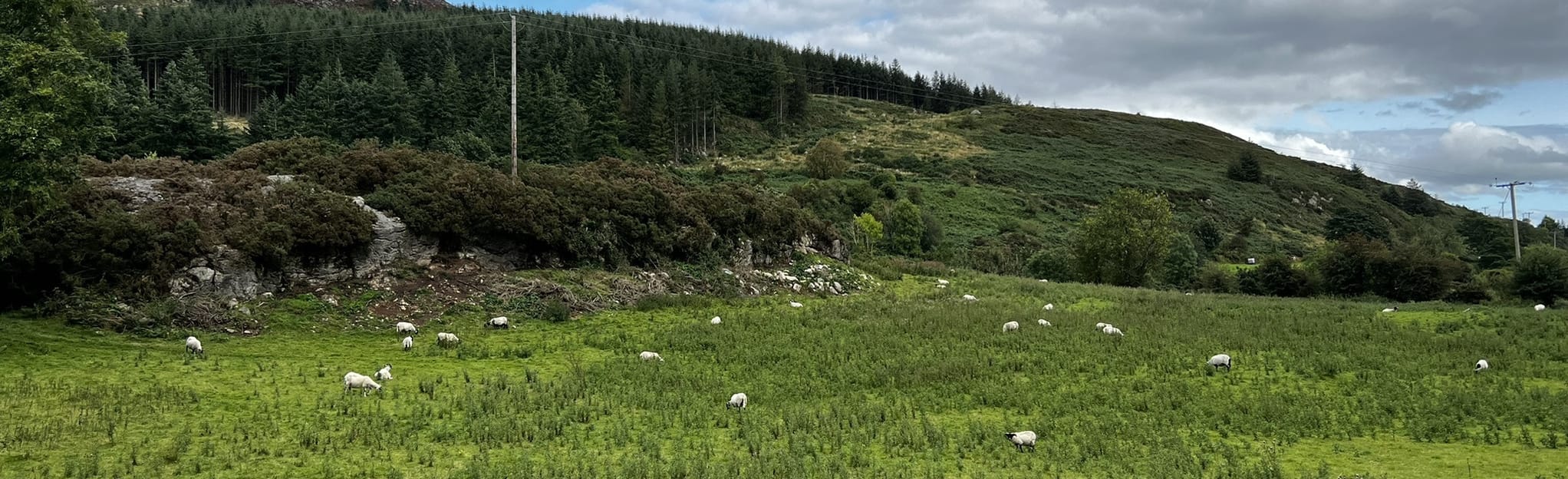 Poet's Walk- Forkhill Route: 9 Reviews, Map - Newry, Mourne and Down ...