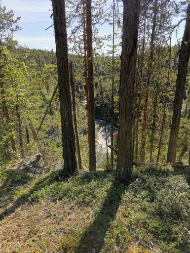 Best Hikes and Trails in Muddus National Park | AllTrails