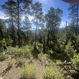 Grindstone Canyon Loop, New Mexico - 1,520 Reviews, Map | AllTrails