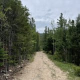 Tallman Ranch via Bridge Creek Trailhead, Colorado - 459 Reviews, Map ...