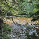 Weeks Falls Interpretive Trail, Washington - 493 Reviews, Map | AllTrails