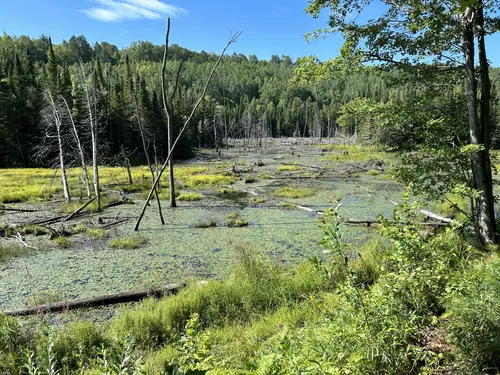 Best Hikes and Trails in Thomas P. Murray Recreation Area | AllTrails