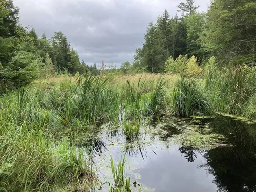 Best Hikes and Trails in Mooers Forks | AllTrails