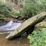 Slippery Rock Gorge Trail, Pennsylvania - 1,217 Reviews, Map | AllTrails