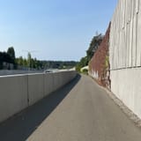 WA 520 Trail, Washington - 717 Reviews, Map | AllTrails