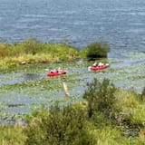 WA 520 Trail, Washington - 717 Reviews, Map | AllTrails