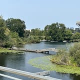 WA 520 Trail, Washington - 717 Reviews, Map | AllTrails