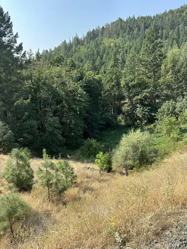 10 Best Trails and Hikes in Jacksonville | AllTrails