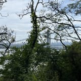 Allison Park Loop, New Jersey - 954 Reviews, Map | AllTrails