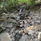 Allison Park Loop, New Jersey - 954 Reviews, Map | AllTrails