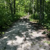 Parnell Tower Trail, Wisconsin - 817 Reviews, Map | AllTrails