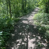 Parnell Tower Trail, Wisconsin - 817 Reviews, Map | AllTrails