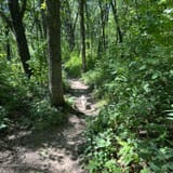 Parnell Tower Trail, Wisconsin - 817 Reviews, Map | AllTrails