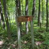Parnell Tower Trail, Wisconsin - 817 Reviews, Map | AllTrails