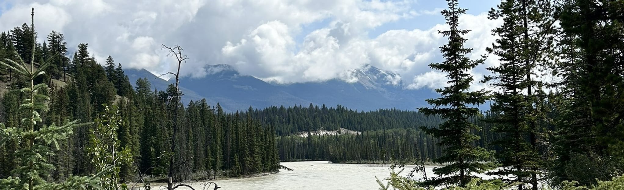 Wabasso Campground River Trail, Alberta, Canada - 74 Reviews, Map ...