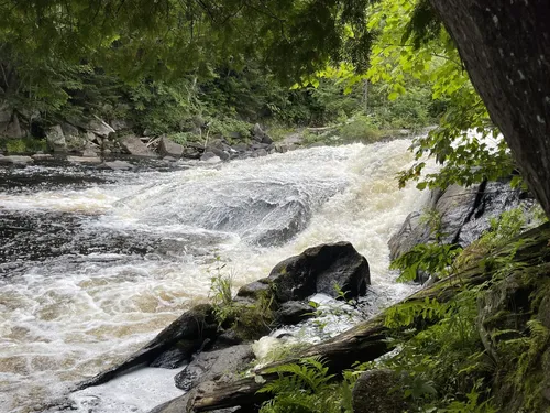 Best River Trails in Ritchie | AllTrails