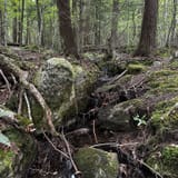 Boston Lot Lake, New Hampshire - 695 Reviews, Map | AllTrails