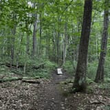 Boston Lot Lake, New Hampshire - 695 Reviews, Map | AllTrails