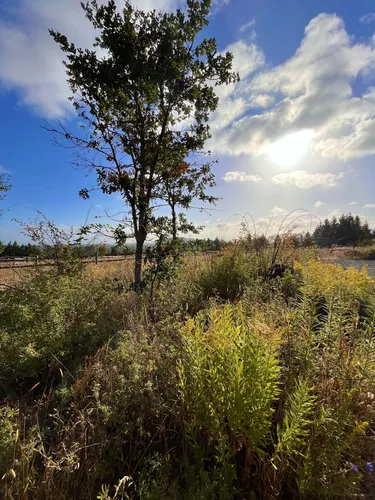 Best Hikes and Trails in Powell Butte Nature Park | AllTrails