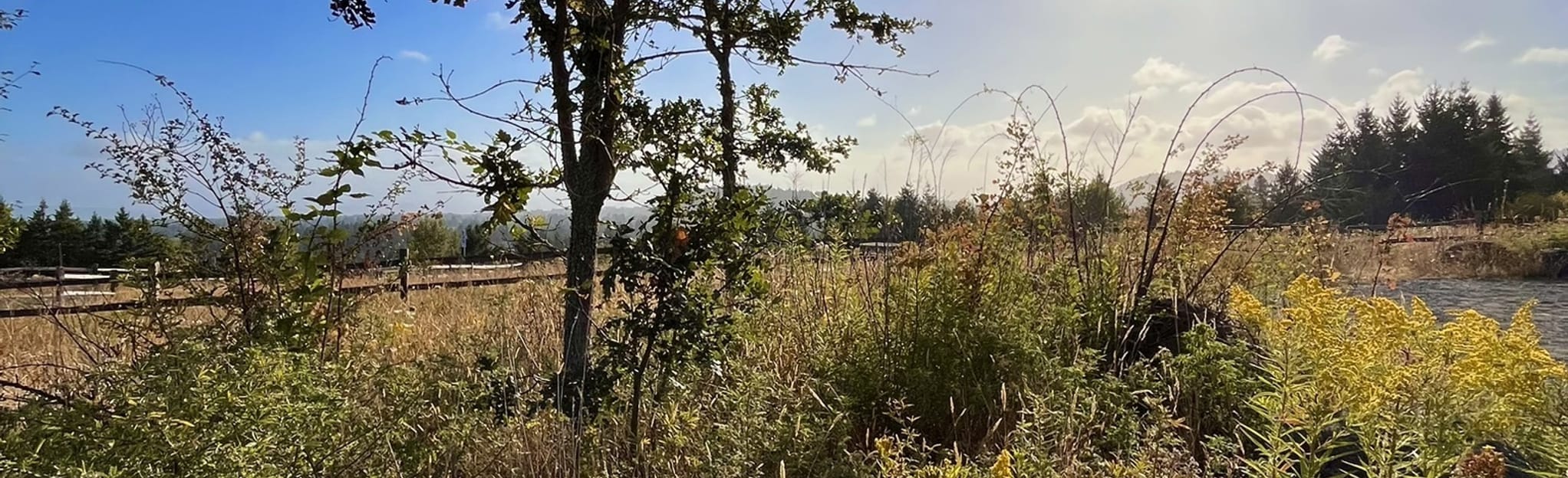 Powell Butte via Mountain View and Wild Horse Trails Loop, Oregon - 360 ...